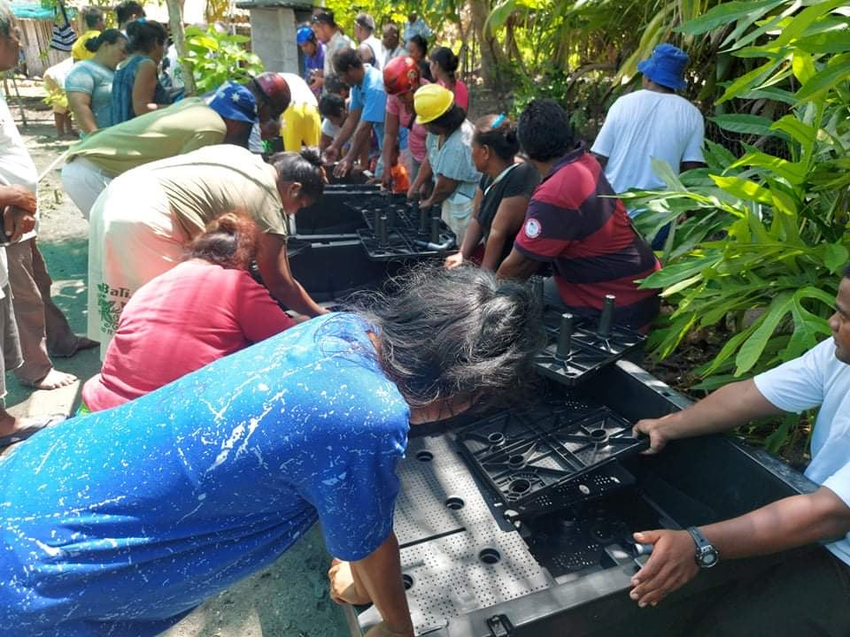 The Funafala Garden: Tuvalu Food Cubes – NUWAO