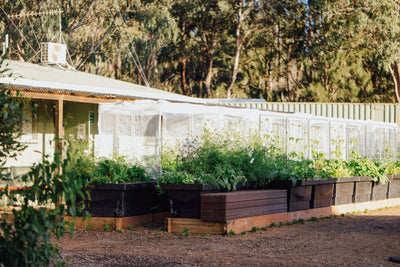 Australian Ecosystems workplace farm – Foodcube Australia Pty Ltd