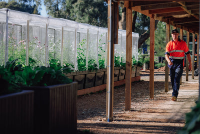 Australian Ecosystems workplace farm – Foodcube Australia Pty Ltd