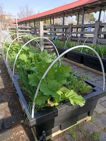 Kensington Stockyard Food Garden – Foodcube